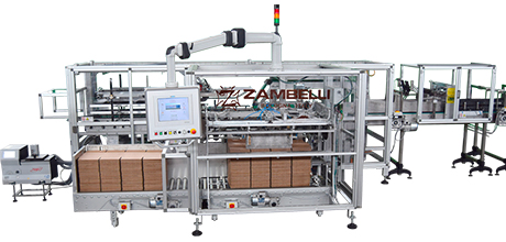 Case Packer Machine | Zambelli Packaging